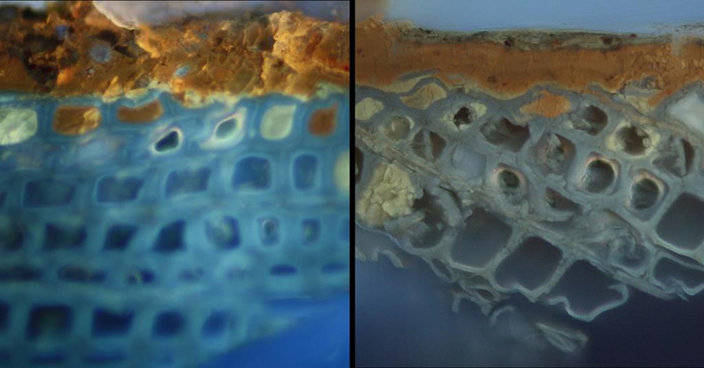 Historical varnishes: Beneath the surface | Premium Feature | The Strad