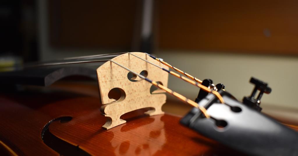 The Strad - Looking after your instrument: a guide for beginners (and ...