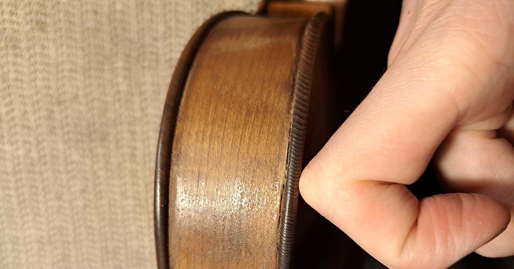 The Strad - 21 reasons why your instrument might be buzzing | The Strad