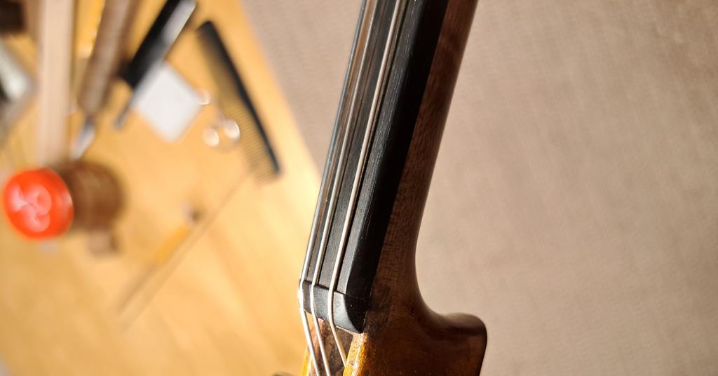 The Strad - 21 reasons why your instrument might be buzzing | The Strad