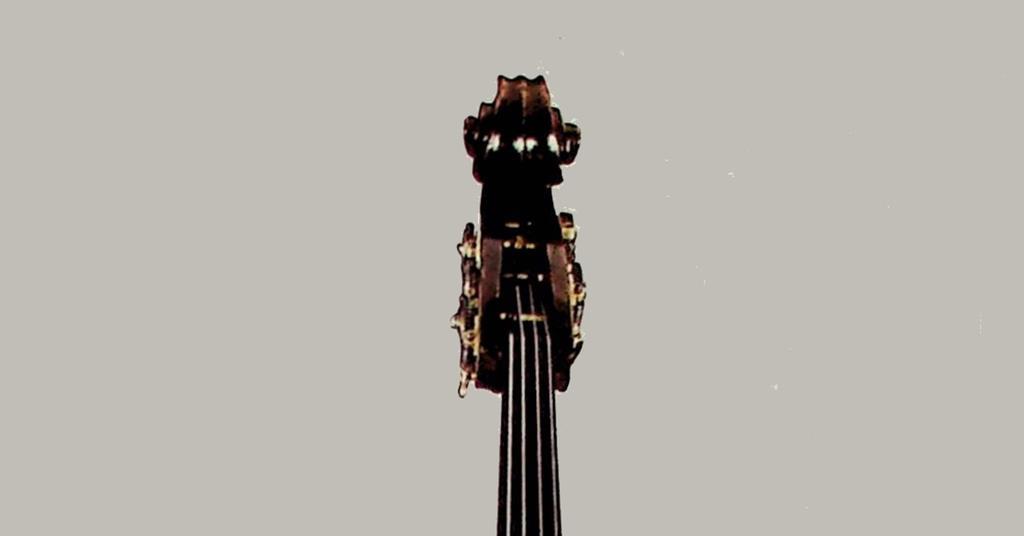 Double Bassist magazine: Matteo Gofriller c.1708 bass | Premium Feature ...