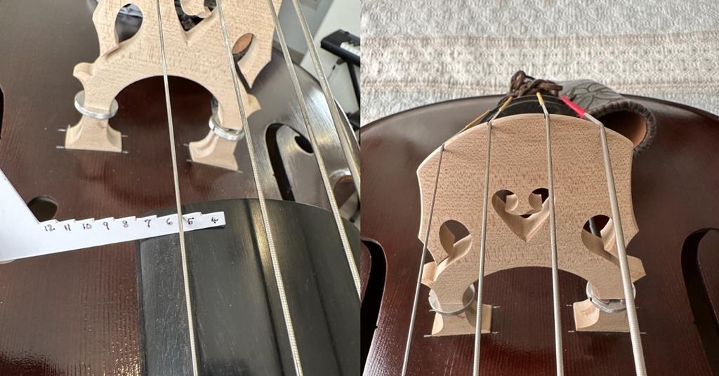 The Strad - Double bass set-up: not a giant violin | The Strad