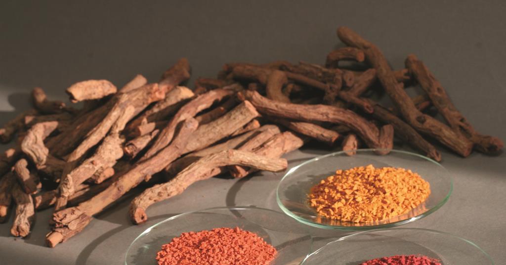 The alchemy of the madder root | Article | The Strad