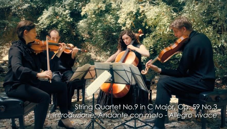 The Strad - A lasting relationship: the Ariel Quartet performs ...