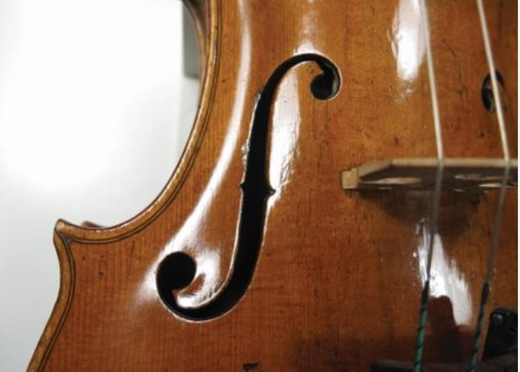 In Focus: A 1770s violin by Giovanni Antonio Marchi | Premium Feature ...