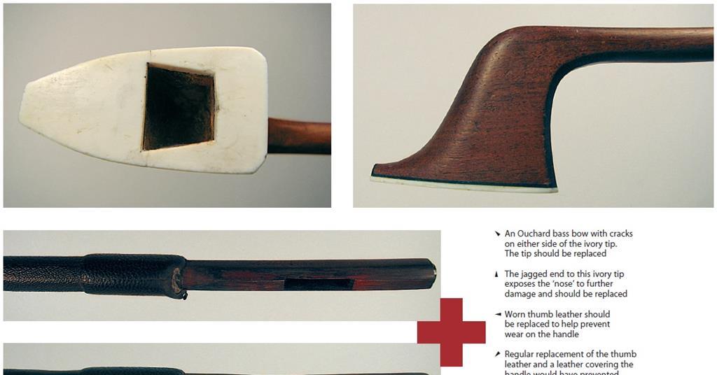 How to ensure the long-term health of your bow | Premium Feature | The ...