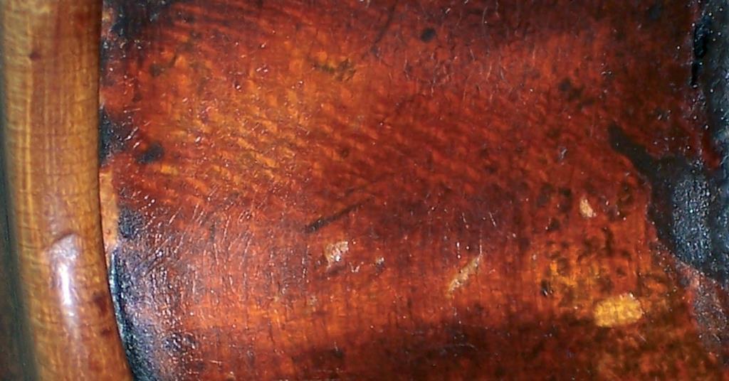 Cremonese varnish: Shining example | Premium Feature | The Strad