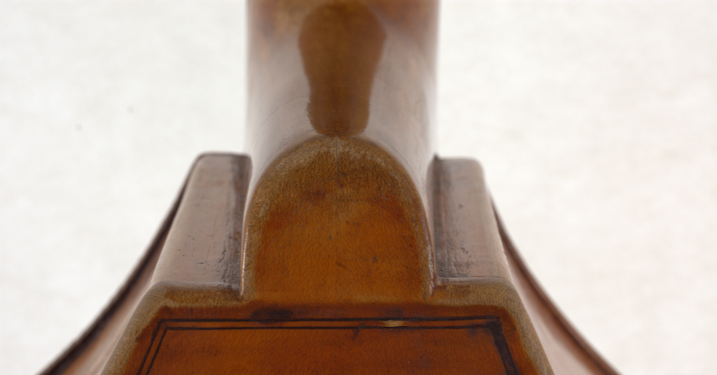 The Strad - In Focus: A c.1920 double bass by Cesare Candi | The Strad