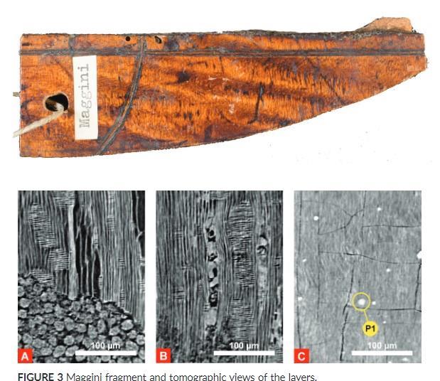 Varnish analysis: shining examples | Premium Feature | The Strad