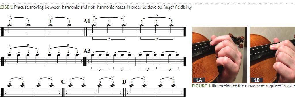 Technique: Continuous vibrato | Premium Article | The Strad