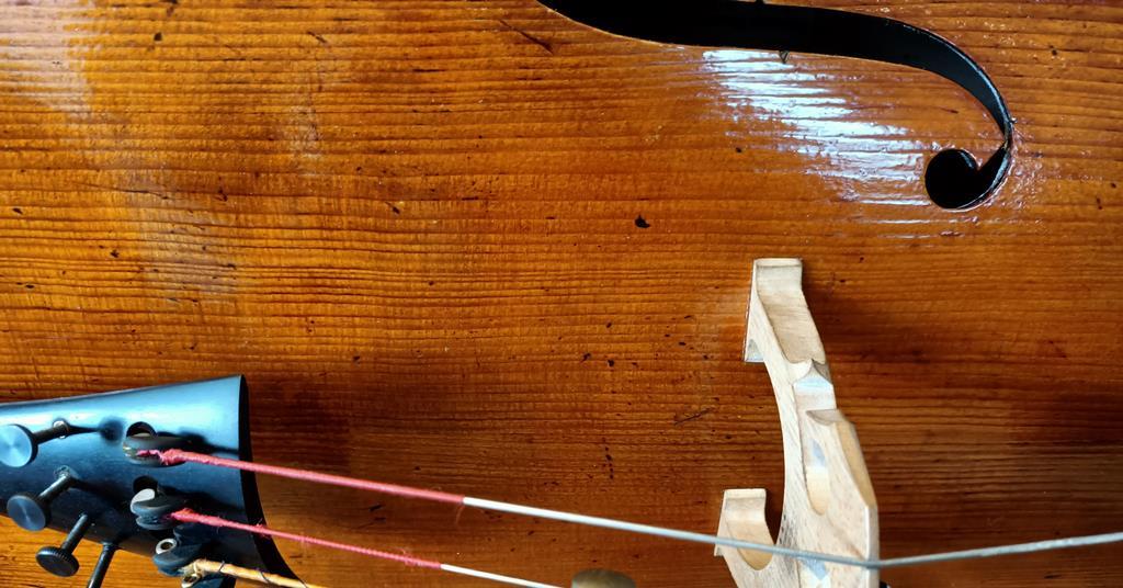 The Strad - Making Matters: Strategies to fix wolf notes | The Strad