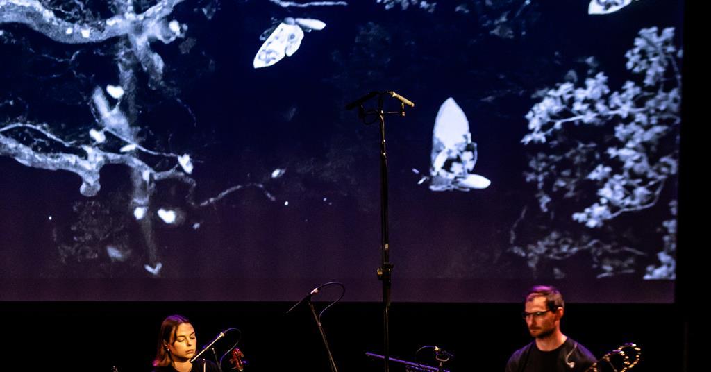 The Strad - Moth x Human: how a new work highlights biodiversity ...