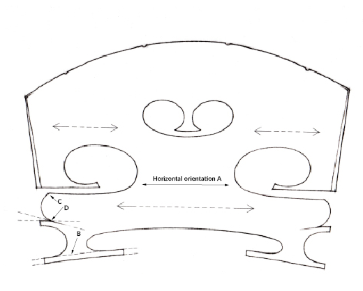 Violin Bridge Template