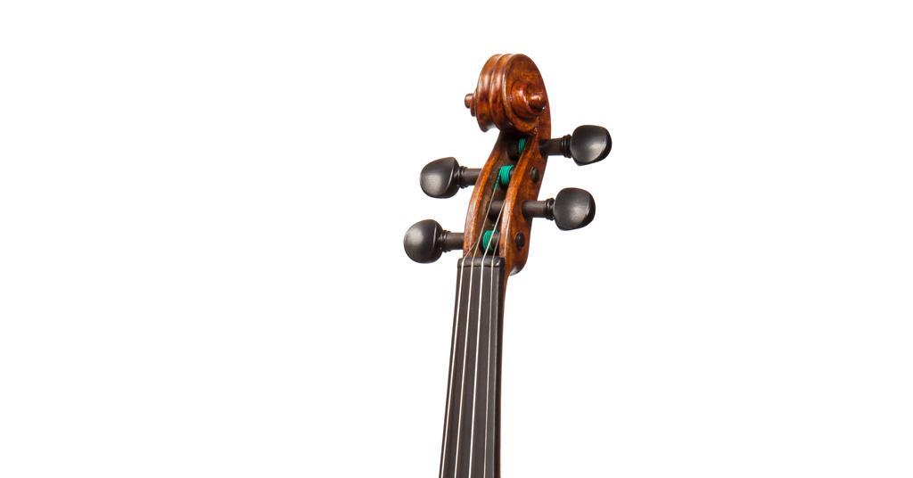 In focus: a c.1930 violin by Ignacio Fleta | Premium Feature | The Strad