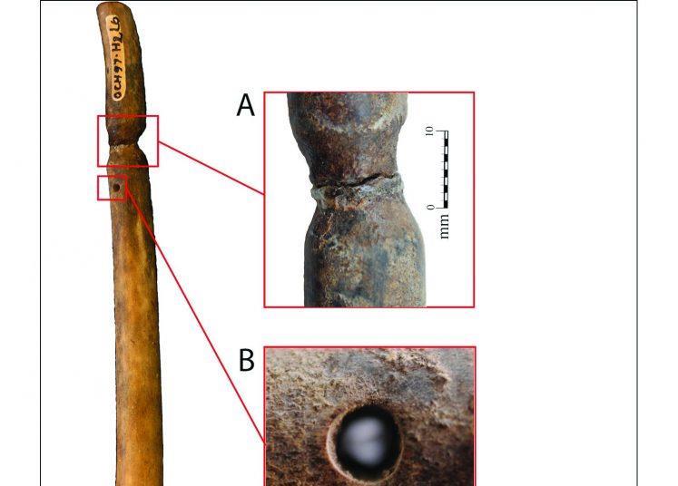 The Strad News - ‘Earliest stringed instruments’ found in Vietnam | The ...