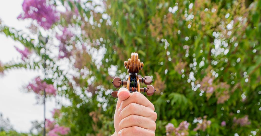 The Strad - A Brothers Amati viola to a cello called 'Ginger': more ...