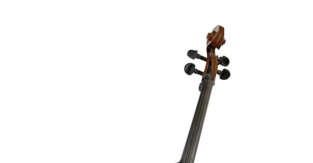 The Strad - Products April 2024: Cello Buggie | The Strad