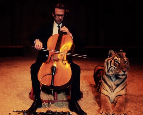 Cellist Kevin Fox performs Katy Perry's Roar alongside a live tiger ...