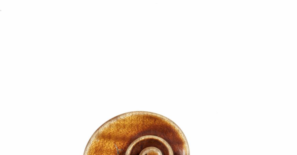 The Strad - In Focus: A 1953 Giuseppe Ornati violin | The Strad