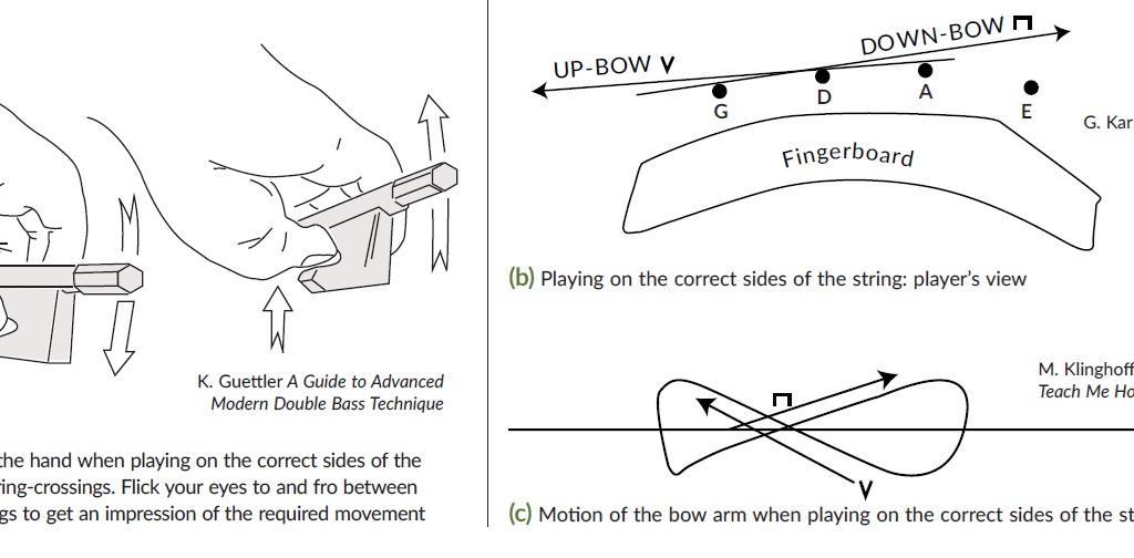 Double bass technique: Back muscles, weight, and flexibility in the ...