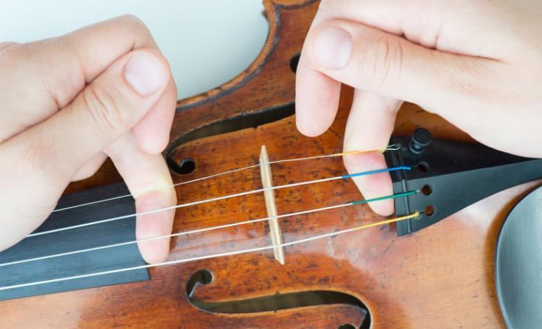 A step-by-step guide to keeping your bridge healthy | Focus | The Strad