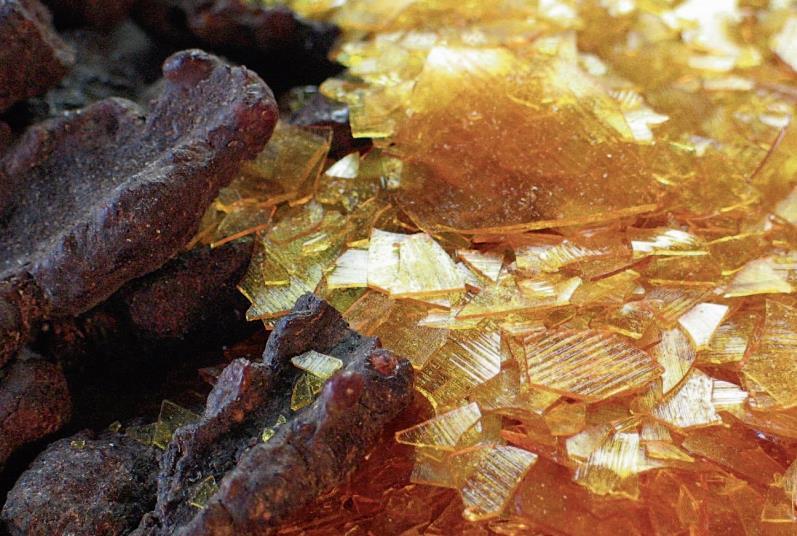 The Strad - Small Wonders: Shellac | The Strad