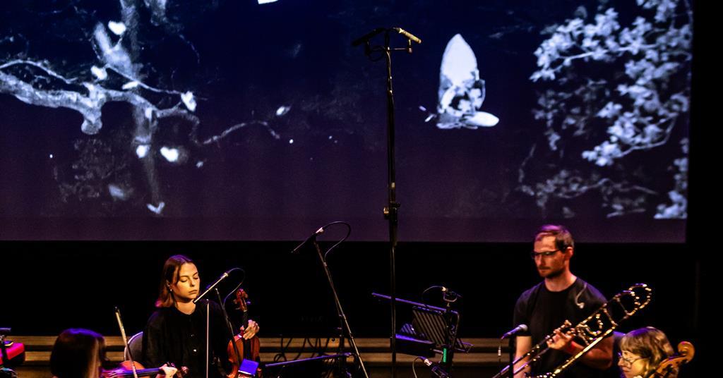 The Strad - Moth x Human: how a new work highlights biodiversity ...