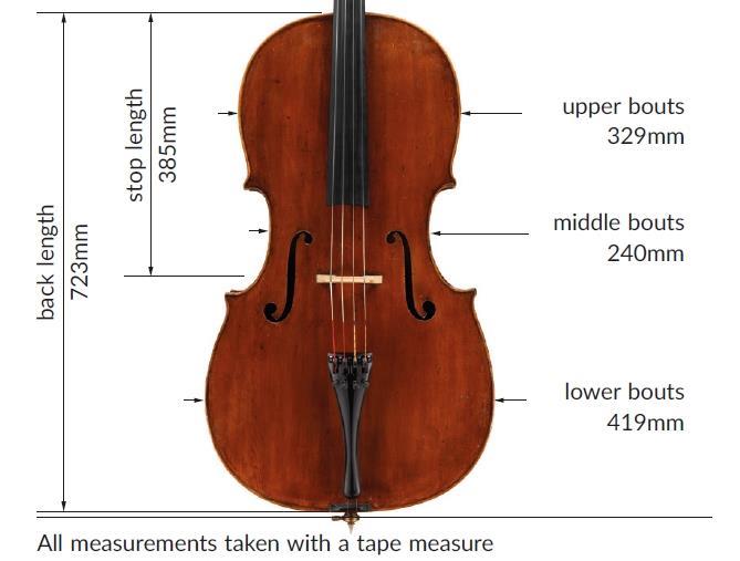 The Strad - In Focus: A 1766 cello by Carlo Ferdinando Landolfi | The Strad