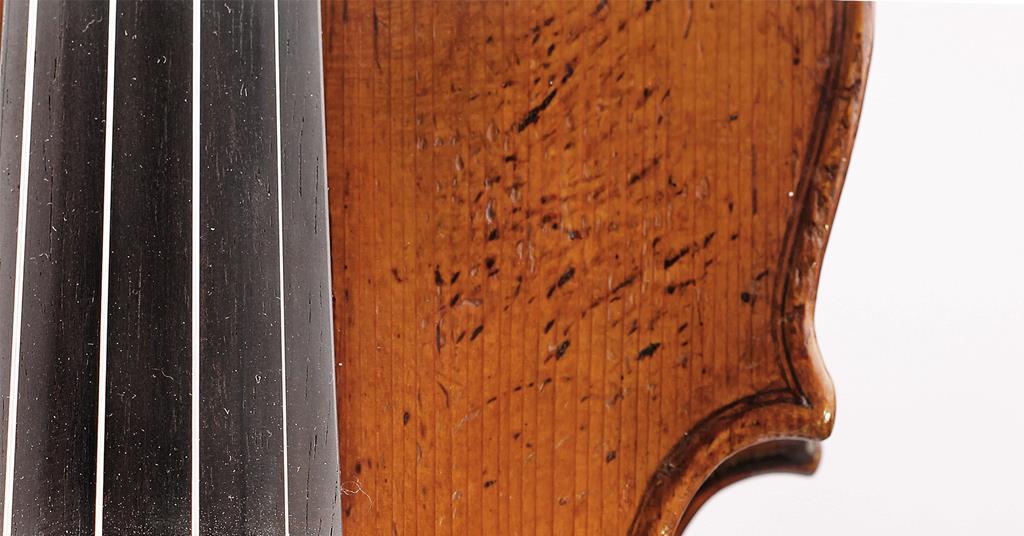 The Strad - In Focus: An 1856 Giuseppe Rocca violin | The Strad