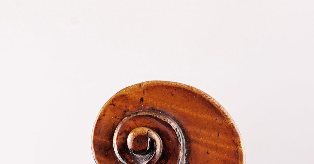 The Strad - In Focus: An 1856 Giuseppe Rocca violin | The Strad