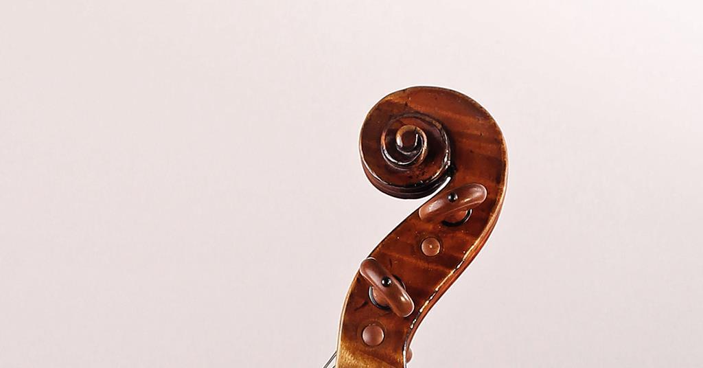 The Strad - In Focus: An 1856 Giuseppe Rocca violin | The Strad
