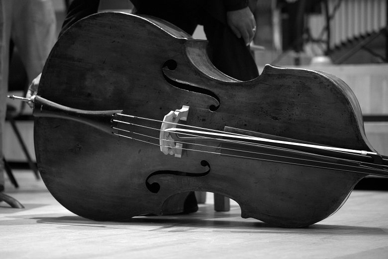 Masterclass: Leon Bosch on Dittersdorf’s Double Bass Concerto no.2 ...
