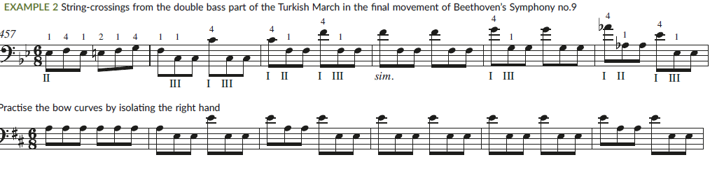 Technique: New perspectives on bow curves for double bass | Premium ...