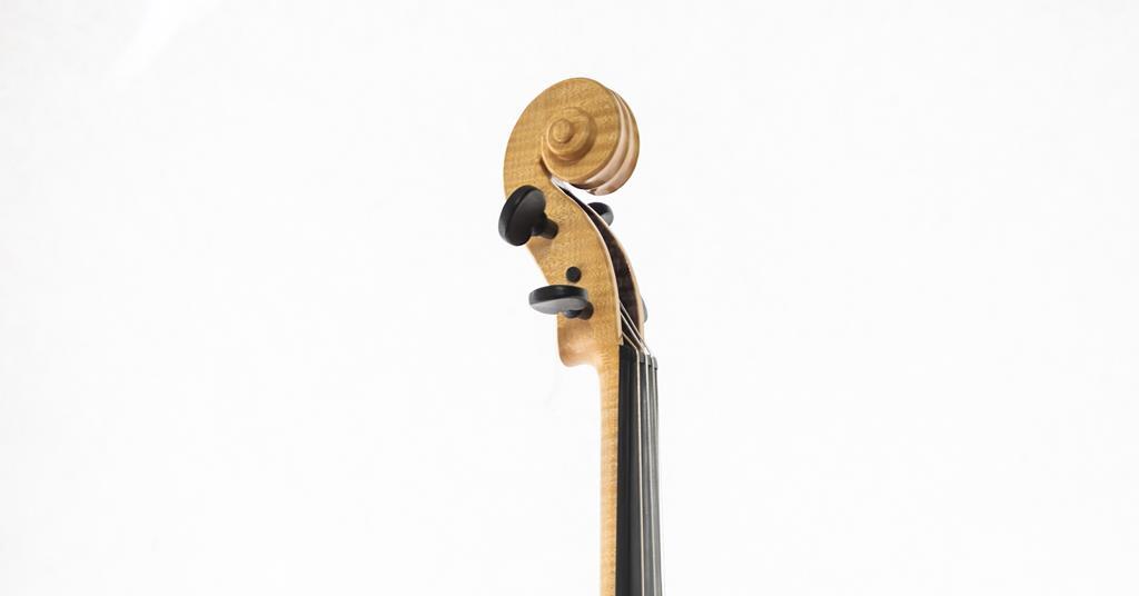 The world’s first and only Bog Oak violin (as far as we know) | Blogs ...