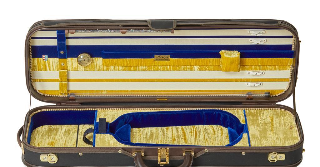 Unique violin case to be auctioned for Ukraine | News | The Strad