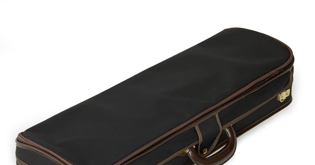 Unique violin case to be auctioned for Ukraine | News | The Strad