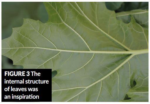 The Strad - Making Matters: Stability of top and back plates | The Strad