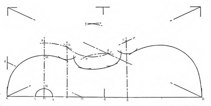 The geometry of violin outlines: Proportional representation | Premium ...