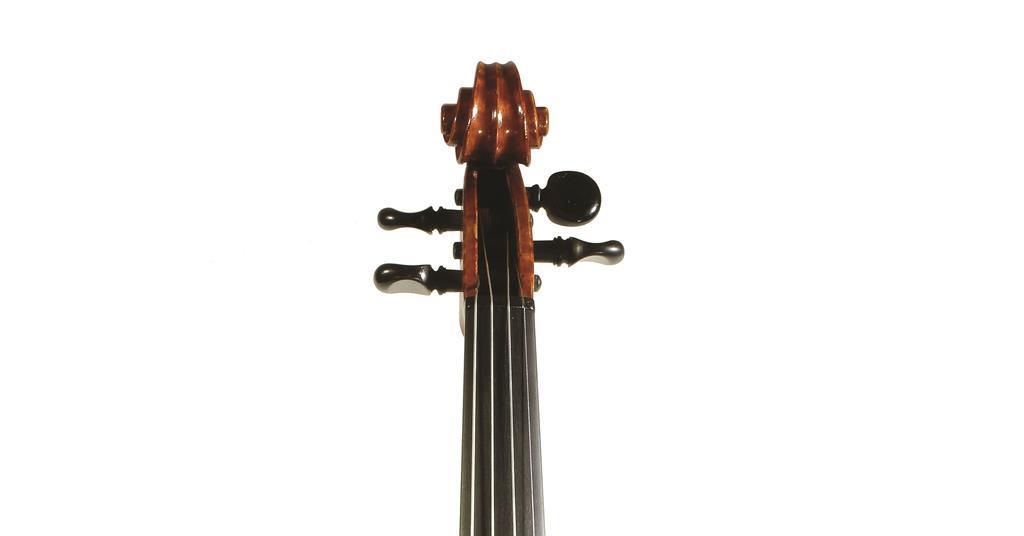 The Strad - In Focus: a 1902 Enrico Rocca violin | The Strad