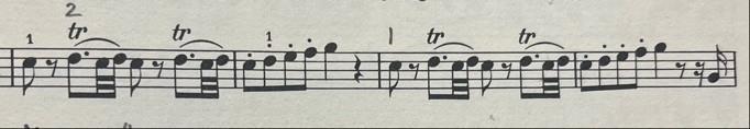 The Strad - In pursuit of meaning: why music matters | The Strad