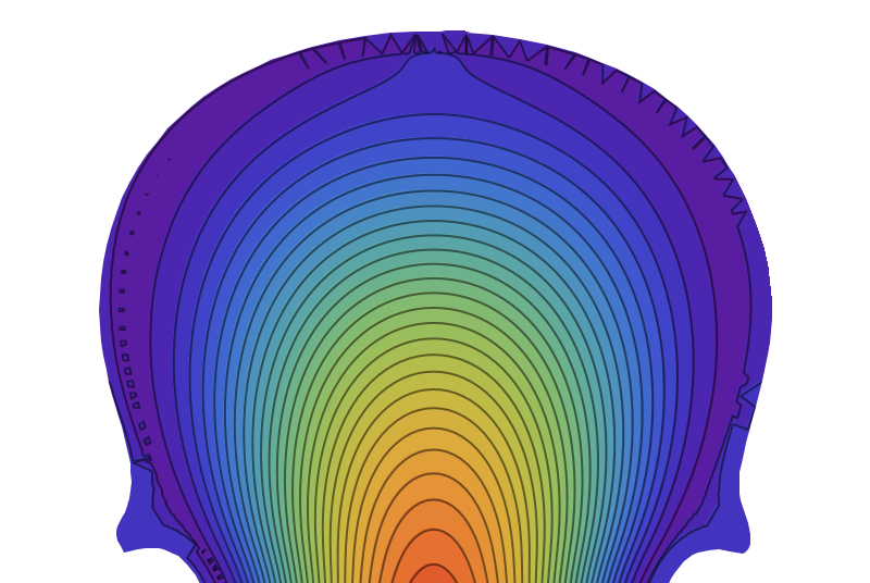 The Strad - Bending the rules: arching constructions | The Strad