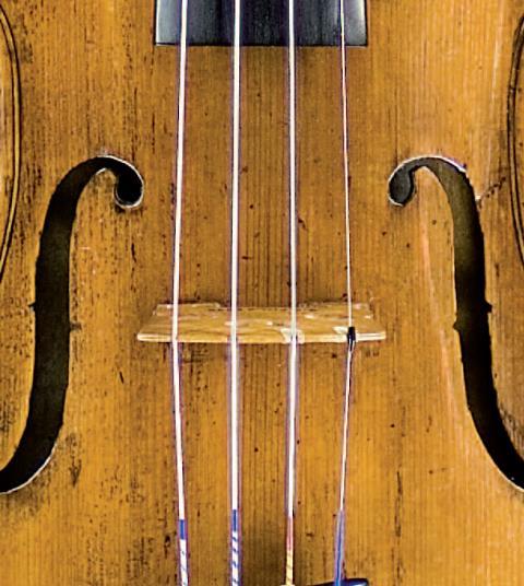 In Focus: studies of great and unusual stringed instruments | Gallery ...