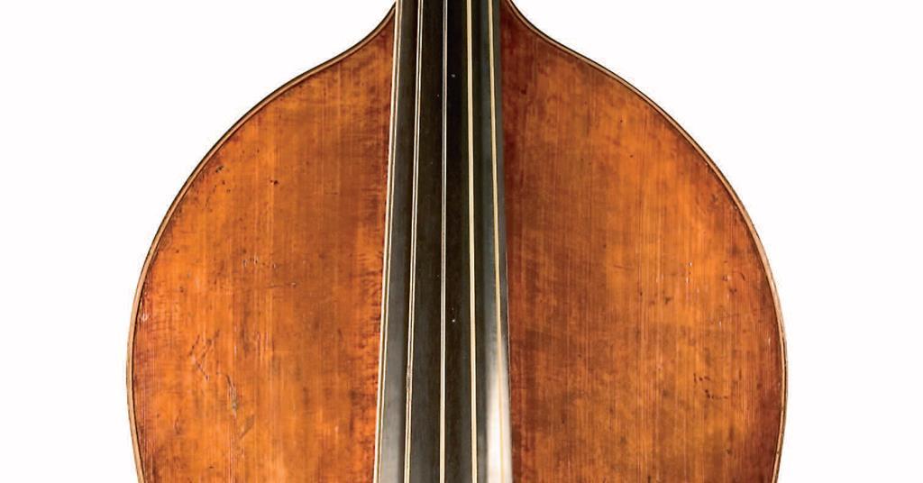 In Focus: studies of great and unusual stringed instruments | Gallery ...