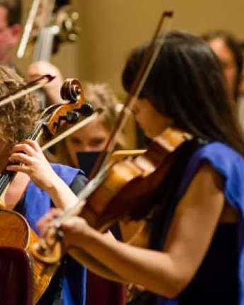 Study suggests orchestral first violins experience highest stress ...