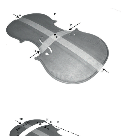 The Strad - Plate archings and tone: Room to breathe | The Strad