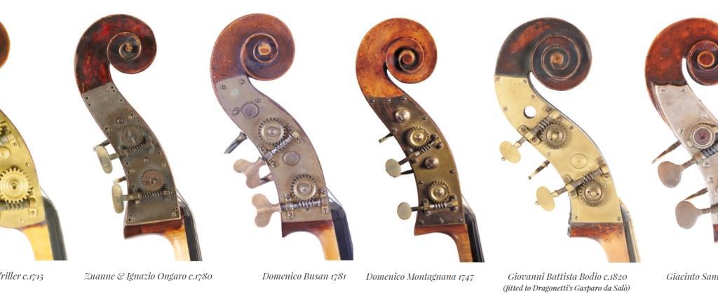 The Venetian double bass: Venetian splendour | Premium Feature | The Strad