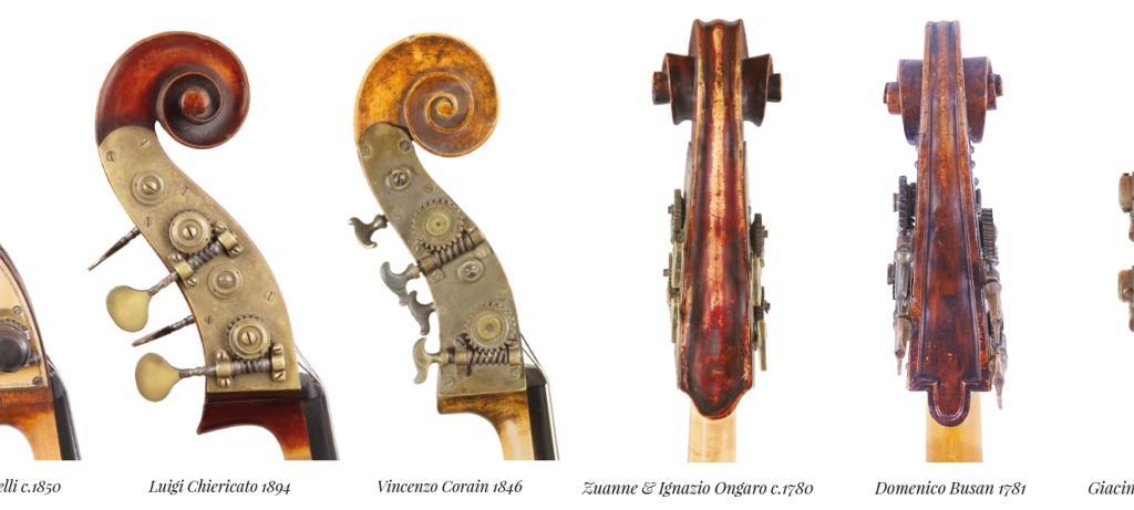 The Venetian double bass: Venetian splendour | Premium Feature | The Strad