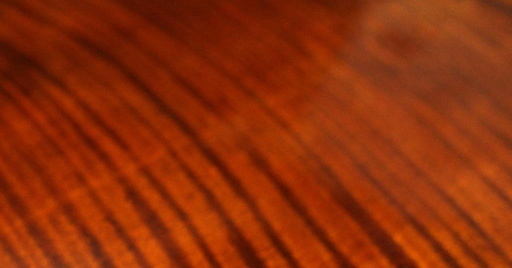 The Strad - In Focus: A 1947 violin by Frantisek Zivec | The Strad
