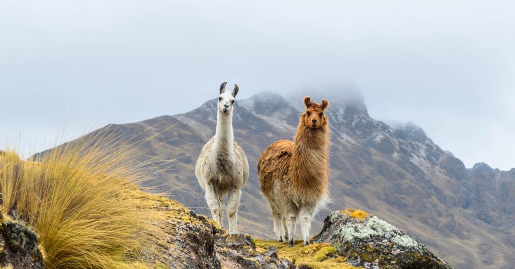 The Strad - ‘I object to the way the old clichés are put out there ...