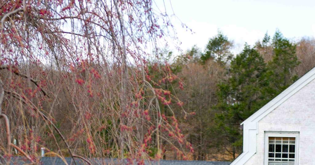 Johnson String Instruments and Carriage House Violins merge | Article ...